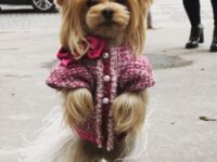 Lindsay Lohan in Muse Magazine