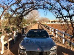 Phoenix Arizona is the Ideal Place to Find a Classic Chevy Muscle Car