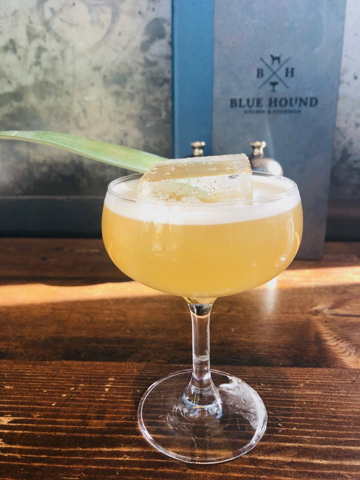 Caribbean-Inspired Cocktails Debut at Blue Hound Kitchen