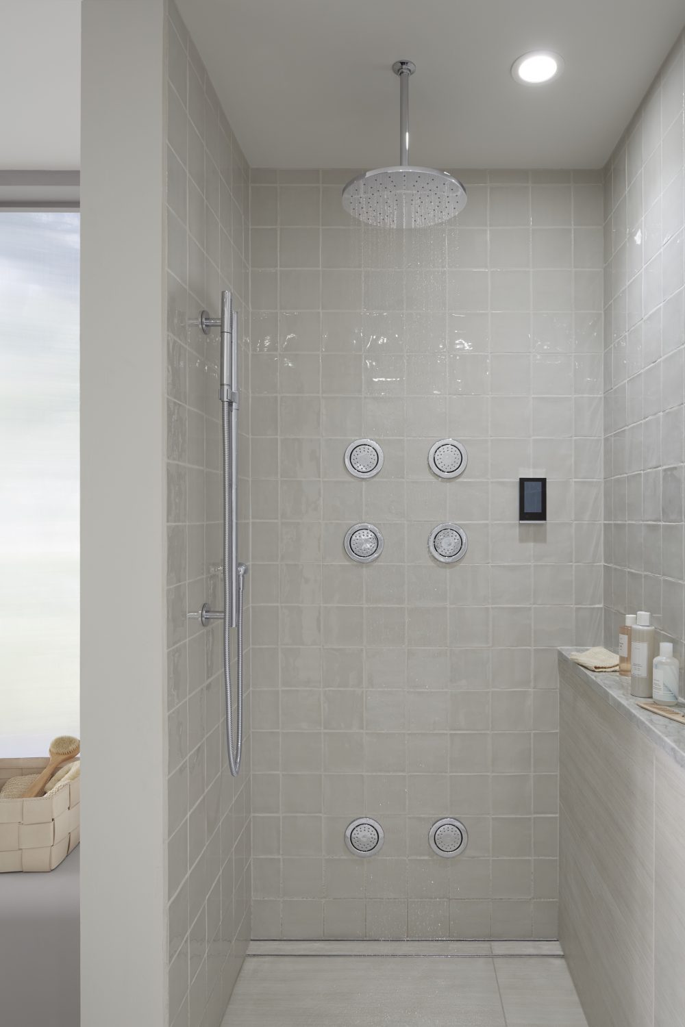The Shower of the Future