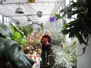 New $600M Master Planned Community Douglas Ranch Launches in Buckeye ...