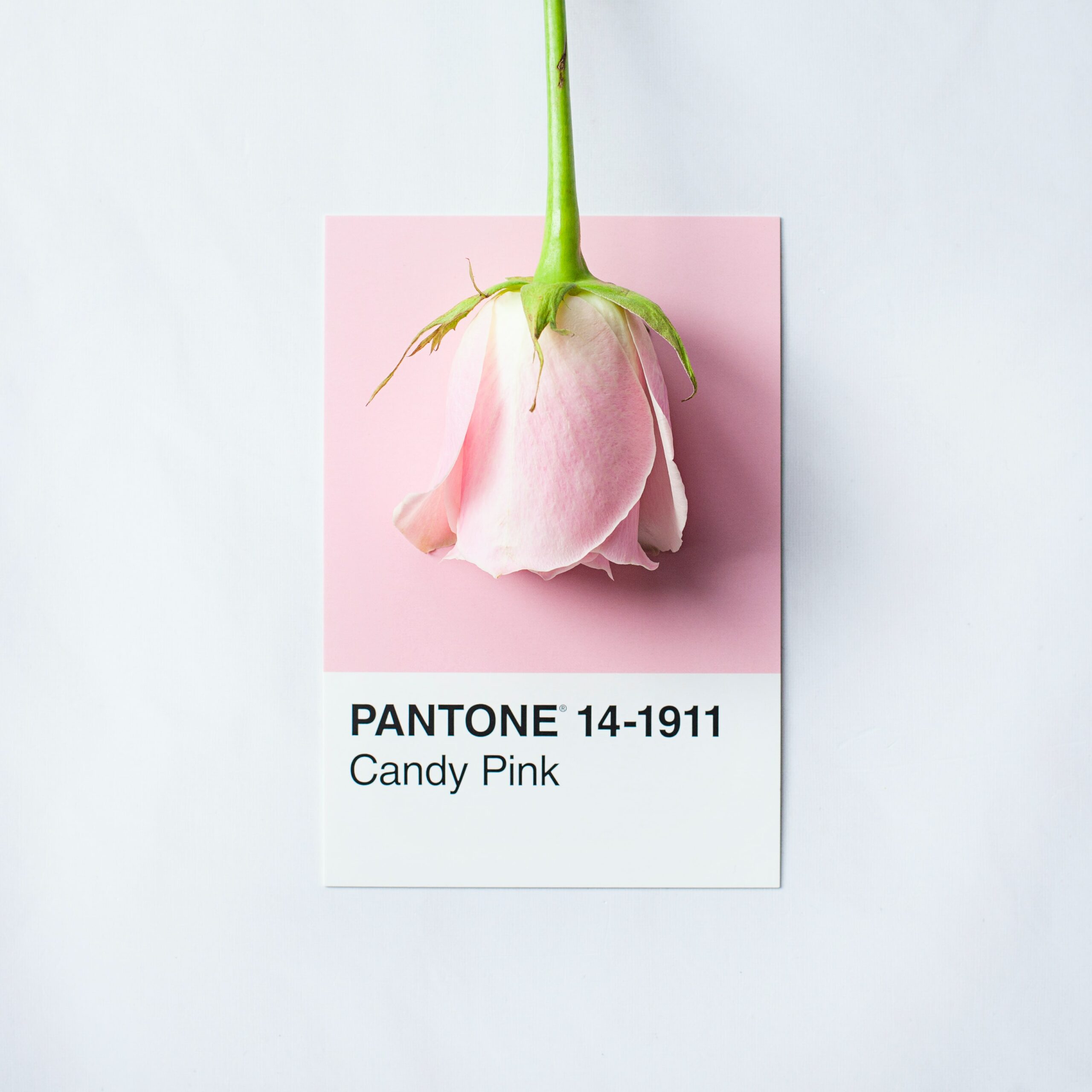 Pantone Spring/Summer 2022 Color Palette Will Make You Smile
