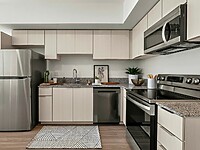 Luxury Rental: San Marbeya