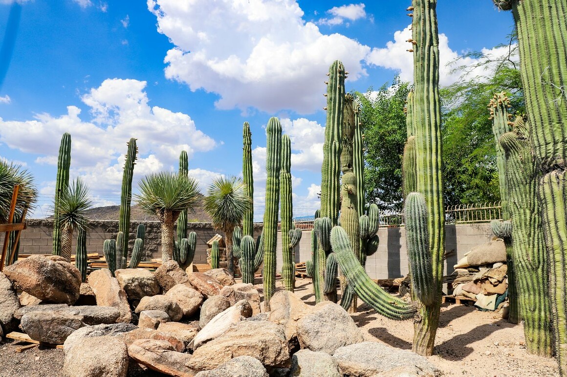 Cultivating the High Desert: How High Desert Designs is Redefining ...