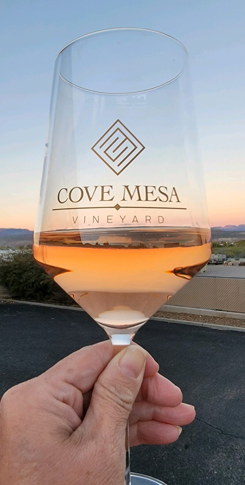 Trendsetters to Know: Emil Molin & Cynthia Molin of Cove Mesa Vineyard