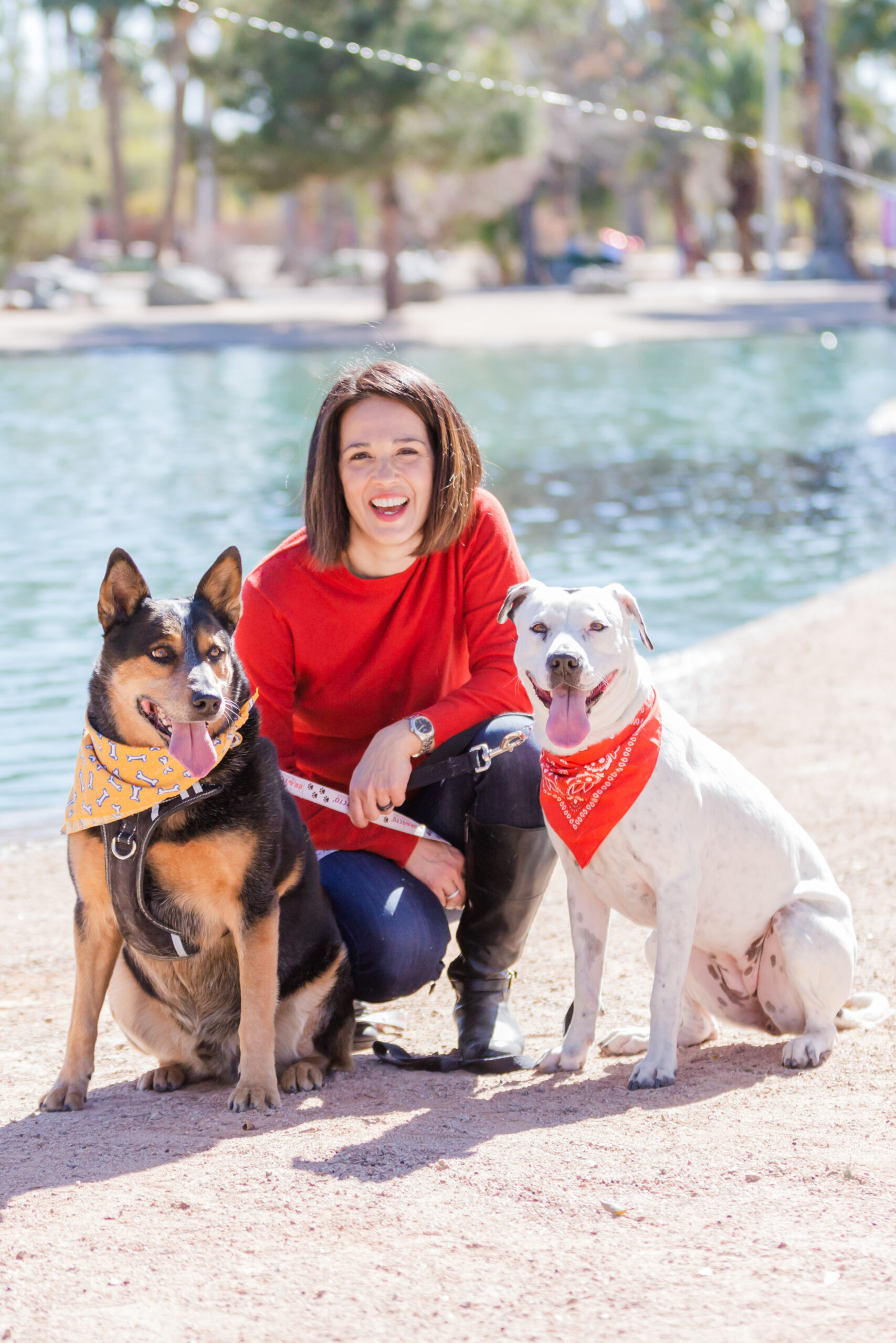 Trendsetter to Know: Alessandra Navidad, President & CEO of Arizona ...