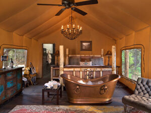 Over the Hill and Through the Woods at Hidden Meadow Ranch