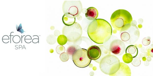 Eforea Spa at Hilton Sedona Resort at Bell Rock Receives New Services ...