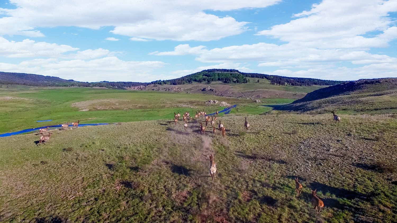 Try Your Hand at Hunting, and in Luxury at this New Mexico Resort