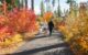 4 Fall Getaways for Changing Leaves