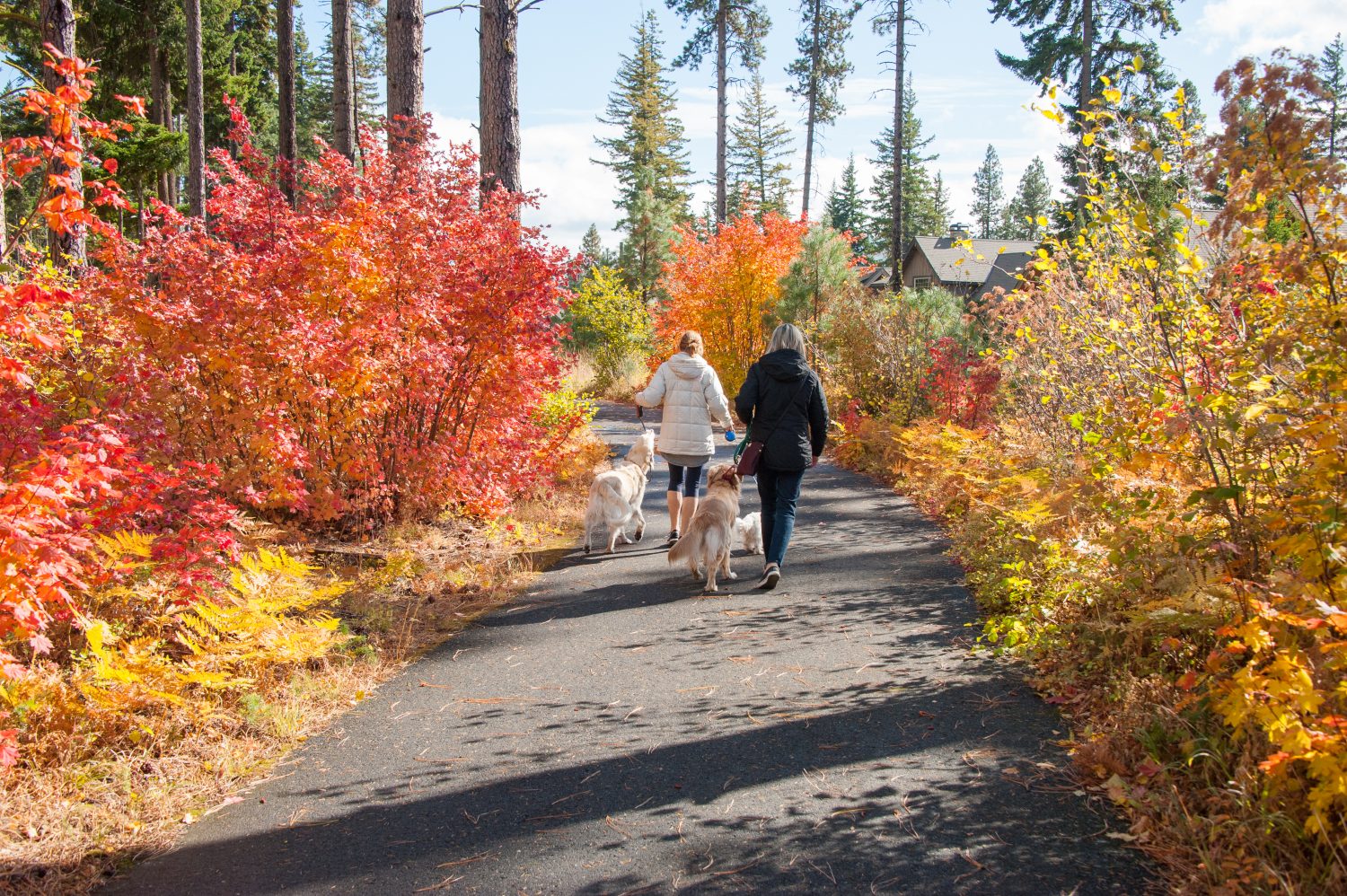 4 Fall Getaways for Changing Leaves