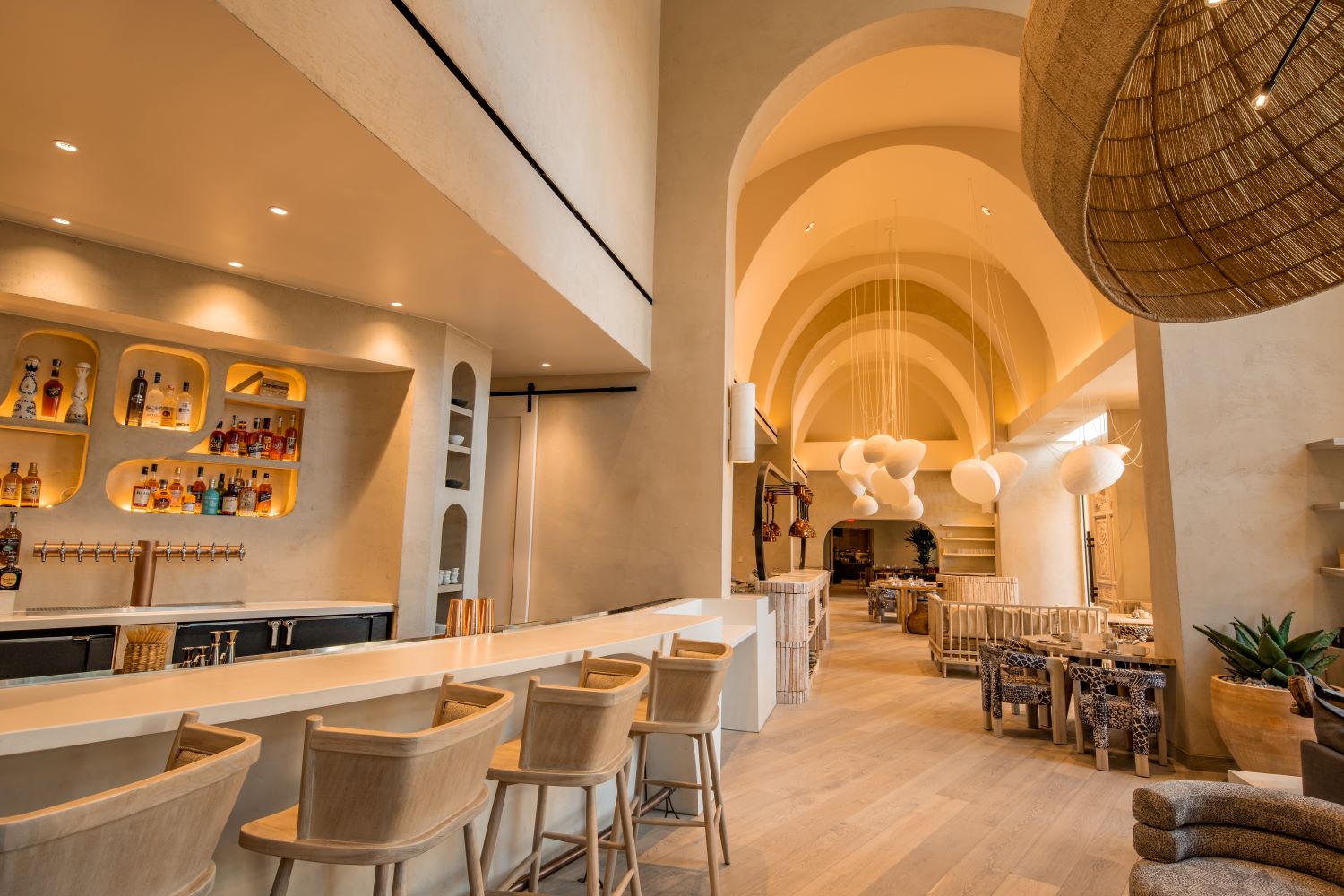 Elevated Dining Awaits at Tía Carmen