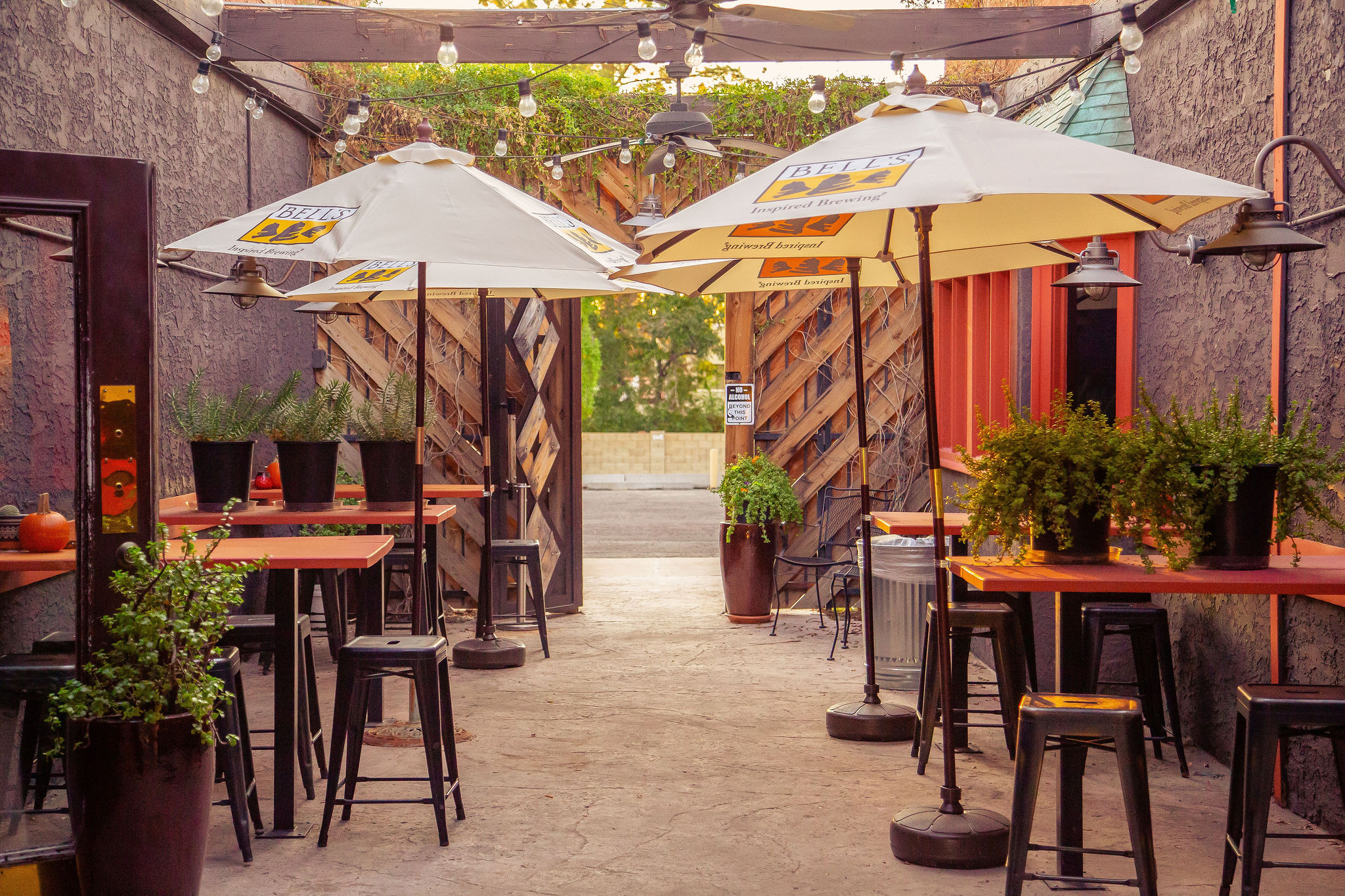 New Weekly Events at Phoenix's Linger Longer Lounge