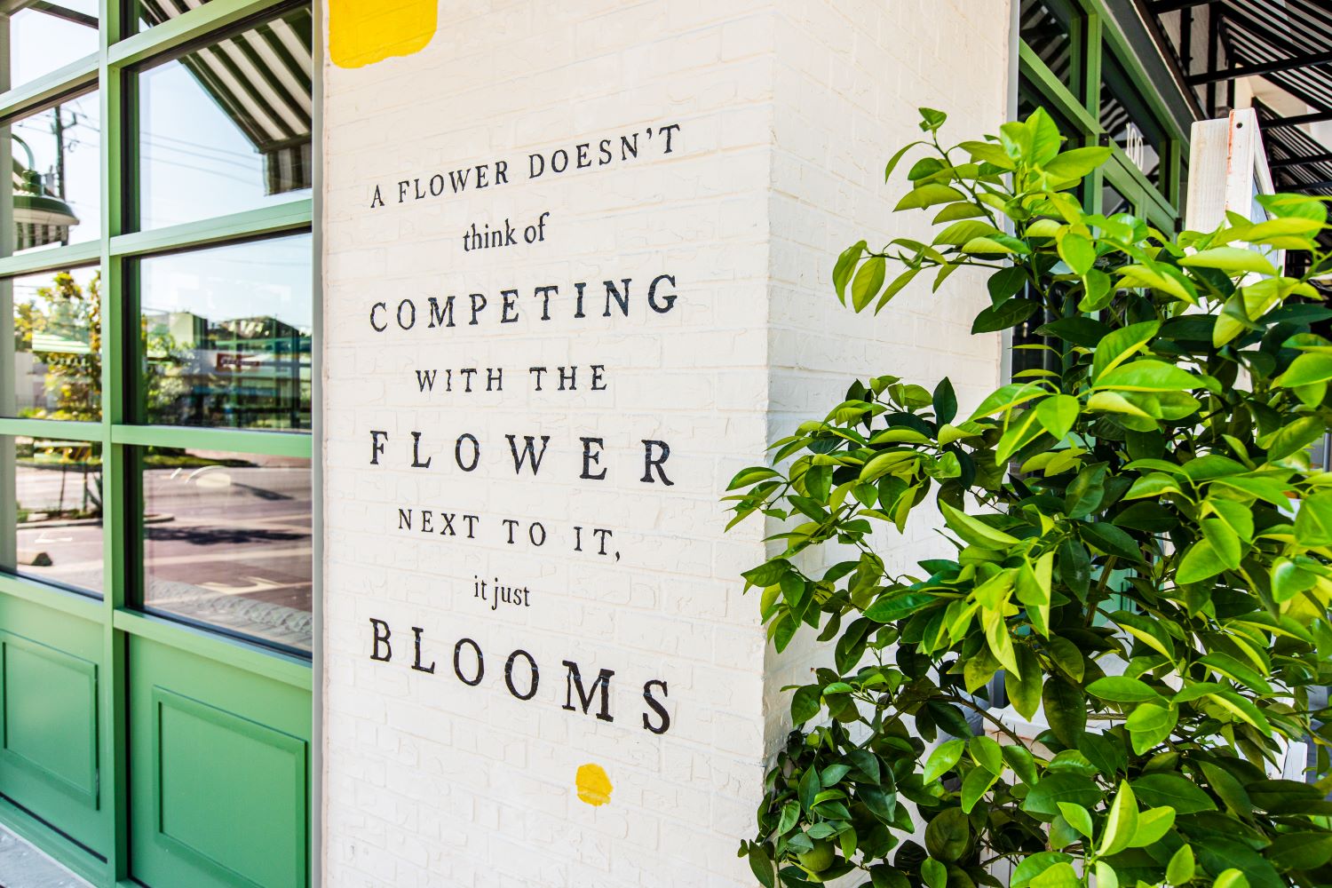 Flower Child Prepares to Open Latest Location in Paradise Valley