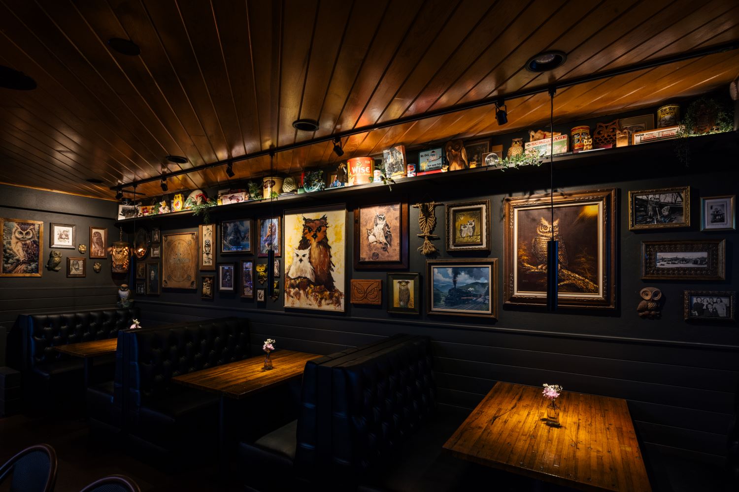 Night Owl Spreads Its Wings with a New Tempe Location
