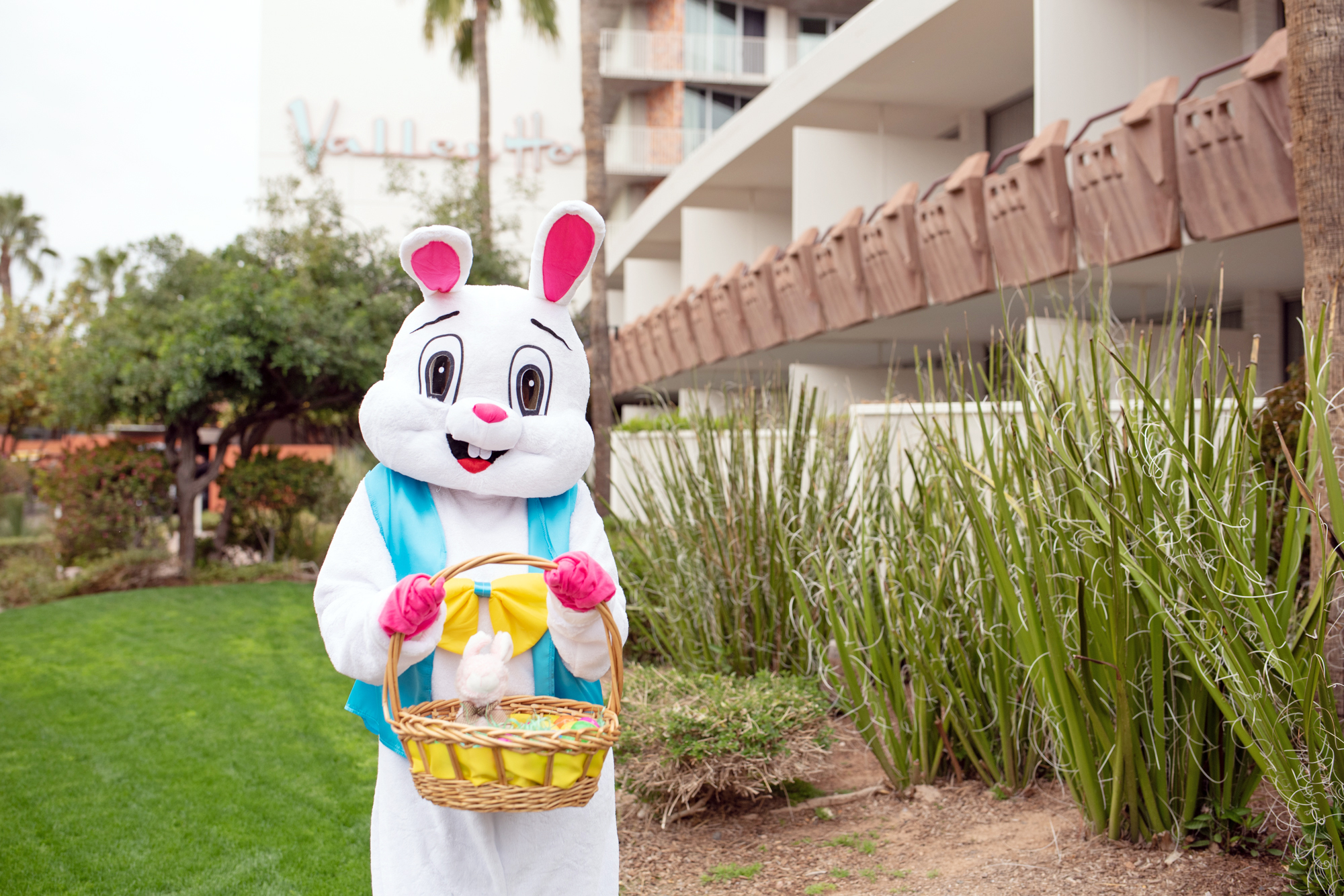 Where to Celebrate Easter in the Valley