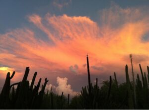 Best Places to Watch the Sunset in Phoenix