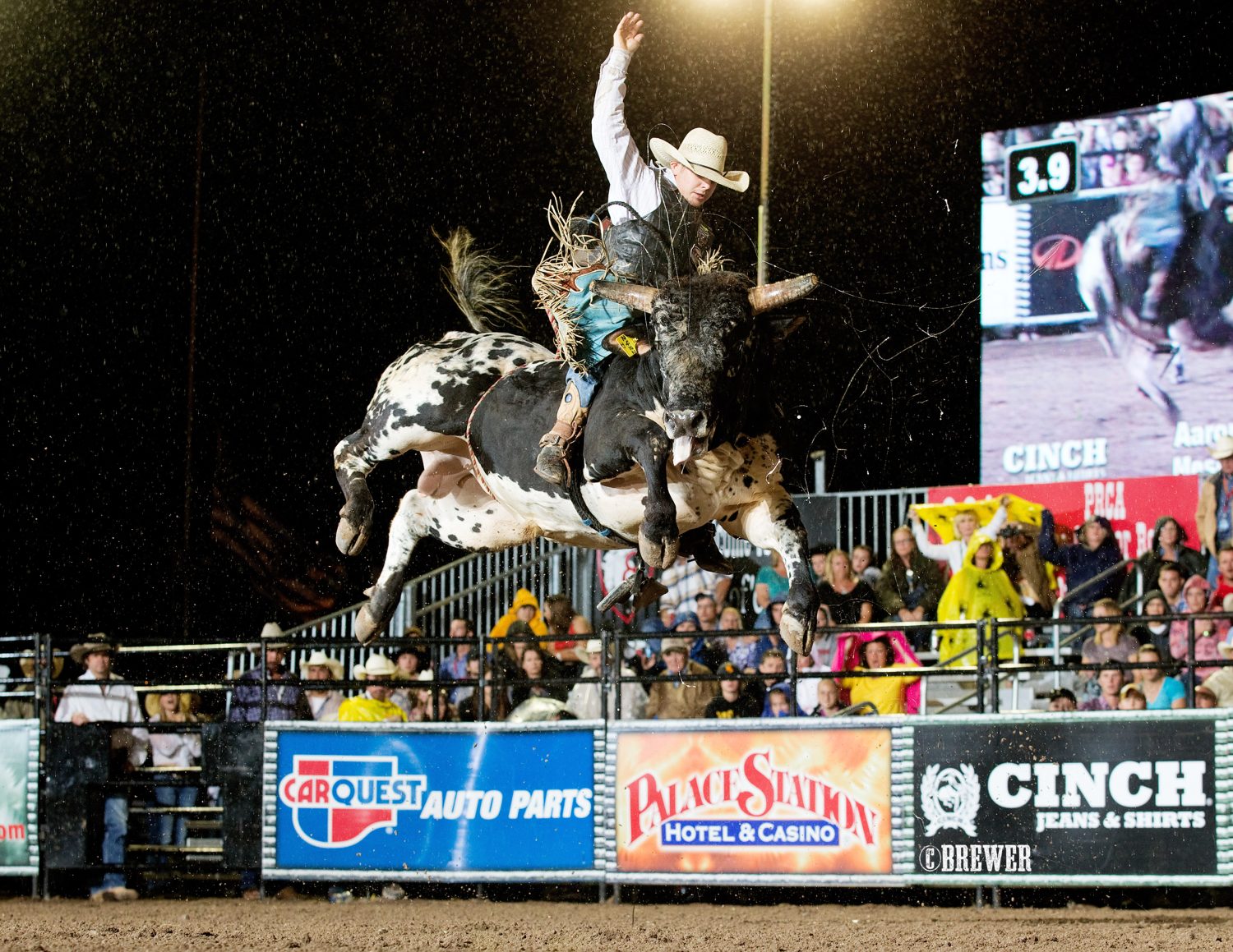 Bull Riding and Country Music at the Scottsdale Showdown