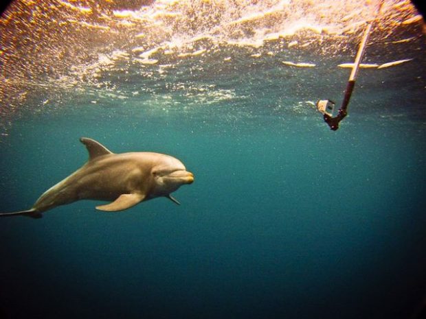 The Best Images Captured by GoPro