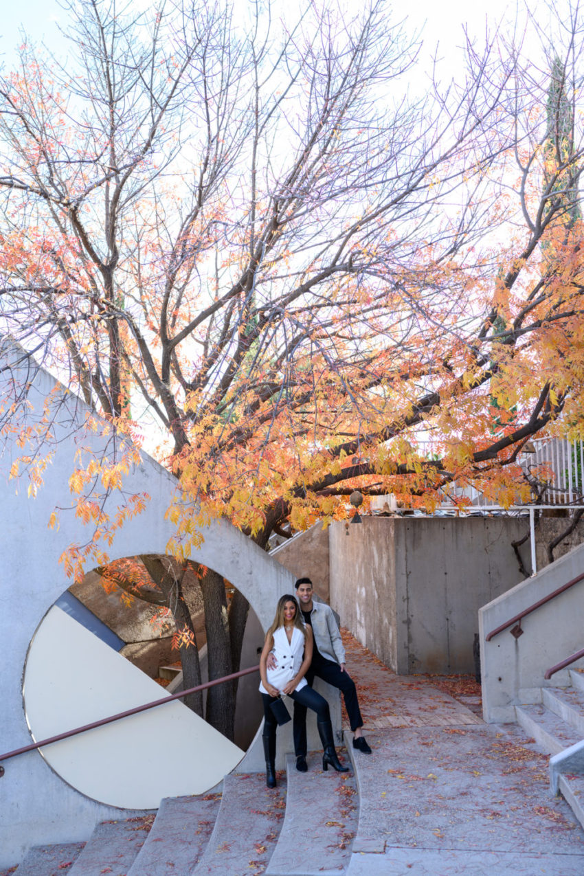 An Interview with Ava Cashman: On Love, Success, and Perseverance in 2020