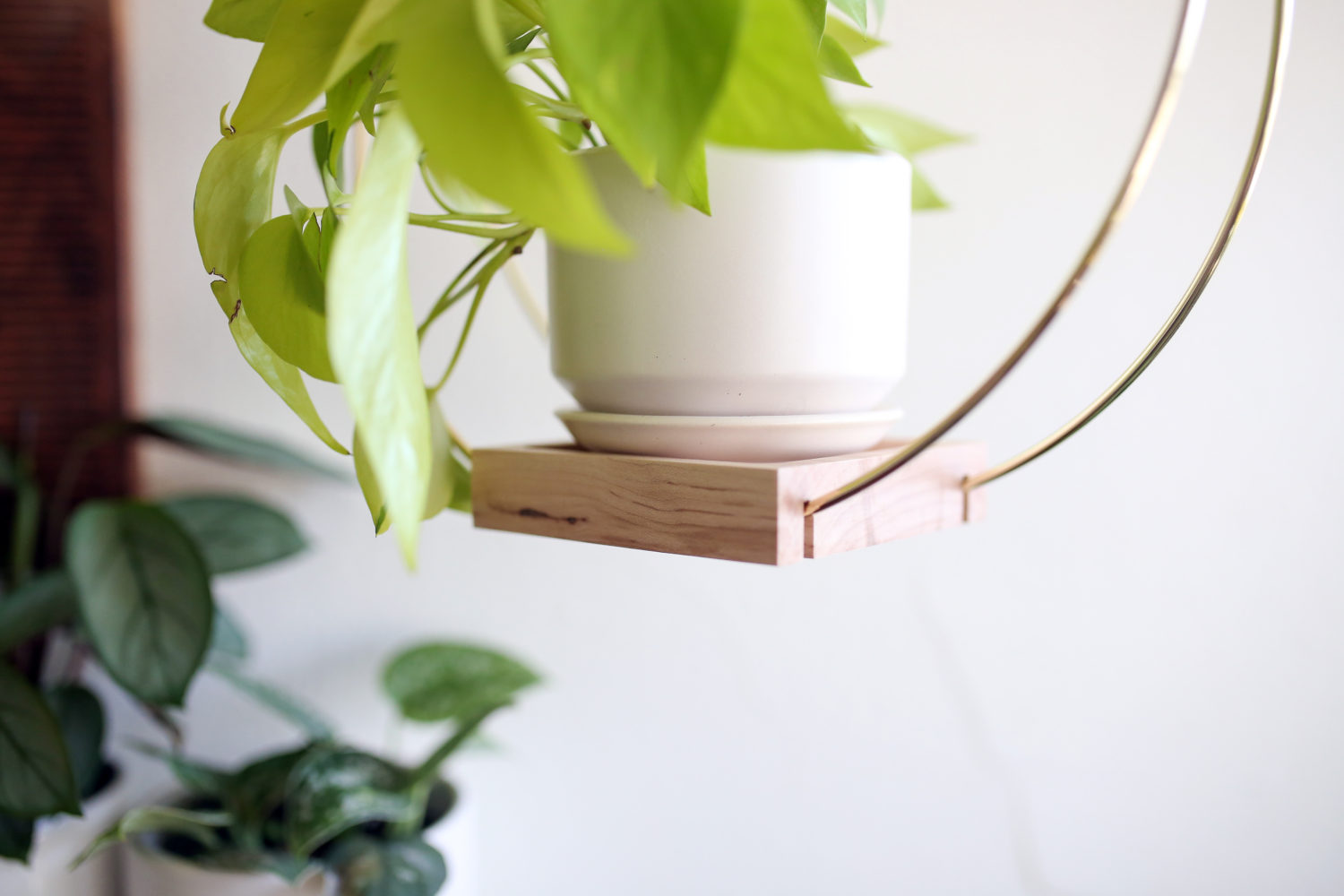 Braid & Wood - Modern and Minimal Designs