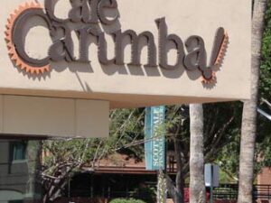 Future Face of Foothills Casting Calls and Q&A With Laura Willert