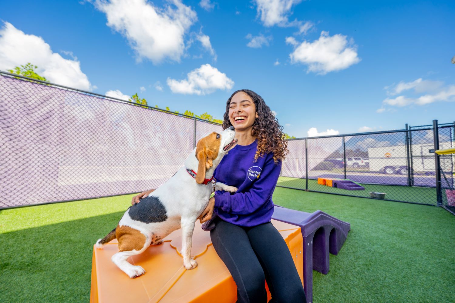 Central Bark Ready to Unleash Comprehensive Dog Care Experience