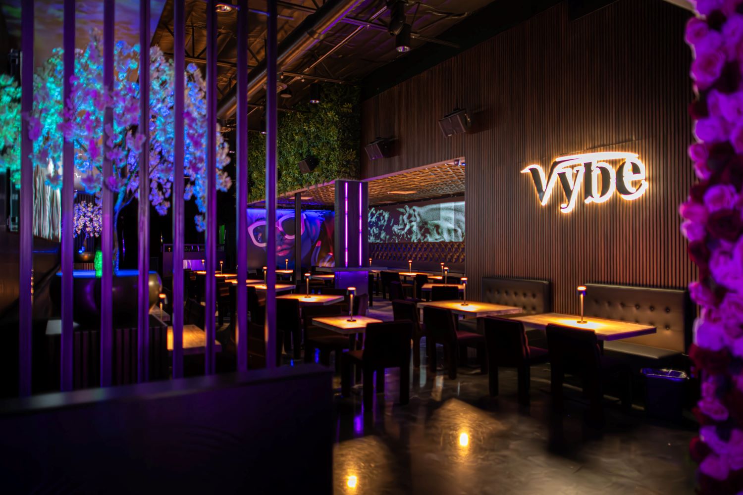 It's a VYBE: New Entertainment & Dining Complex Opens in Chandler