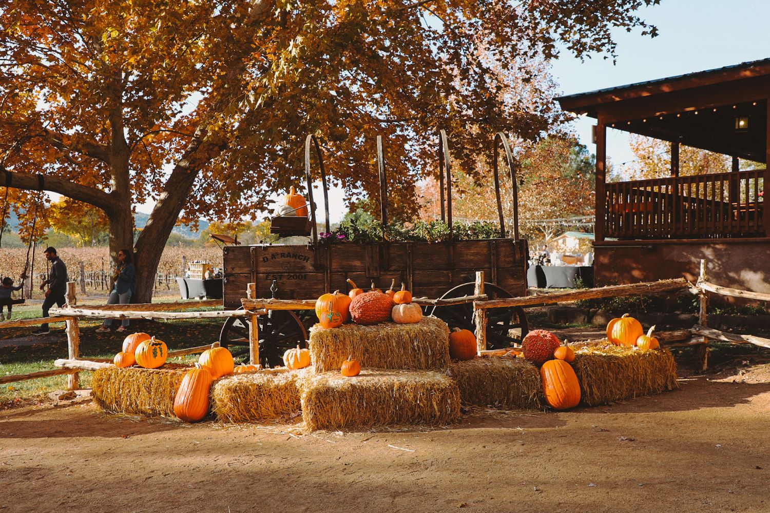 Verde Valley Pottery Festival Returns to D.A. Ranch